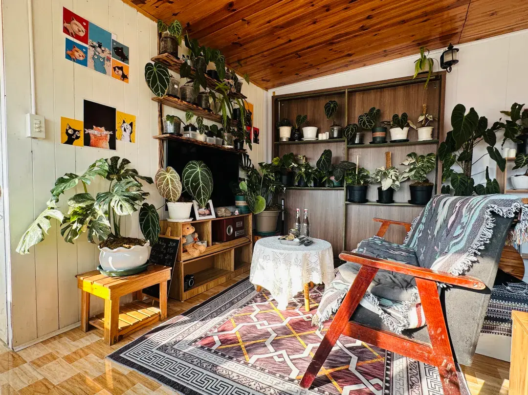 Homieow Inn - Dalat