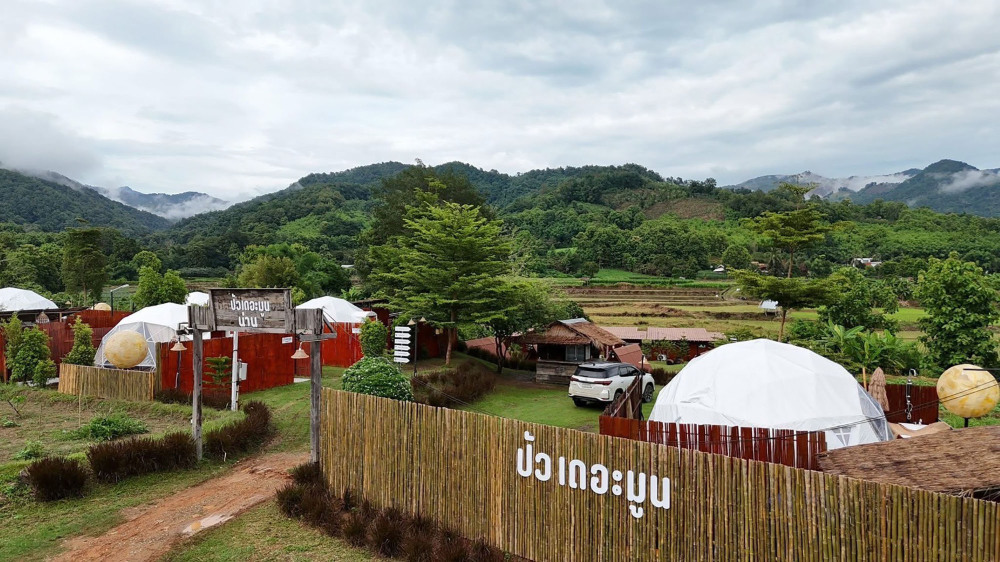 Pua The Moon Reviews: 3 Verified Reviews | Trip.com