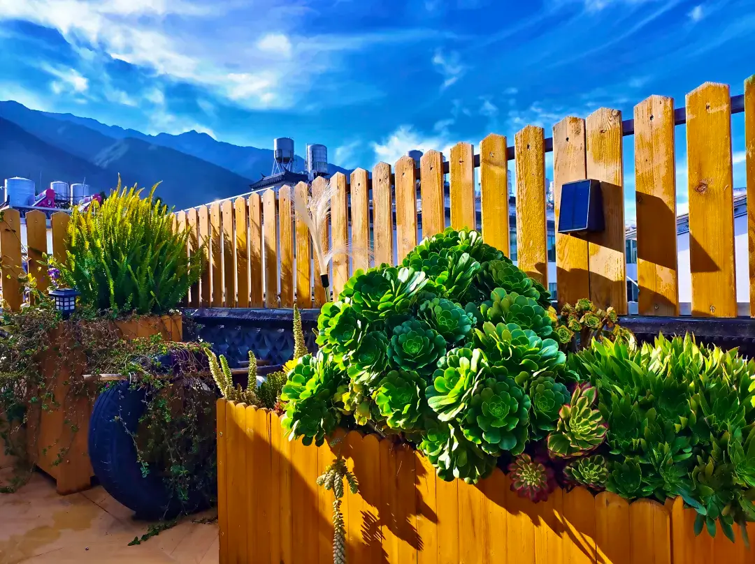 Yunduo Ashely Yunni Alley Meishu - Dali