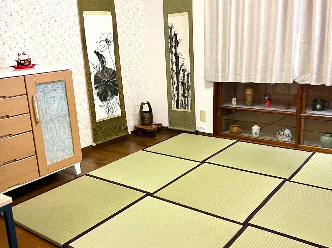 Sakura Bloom - Shibuya City