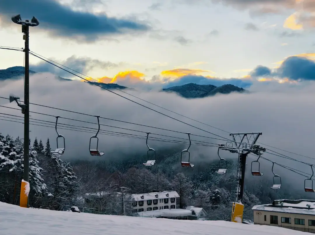 Kitashiga Lime Light - Nakano