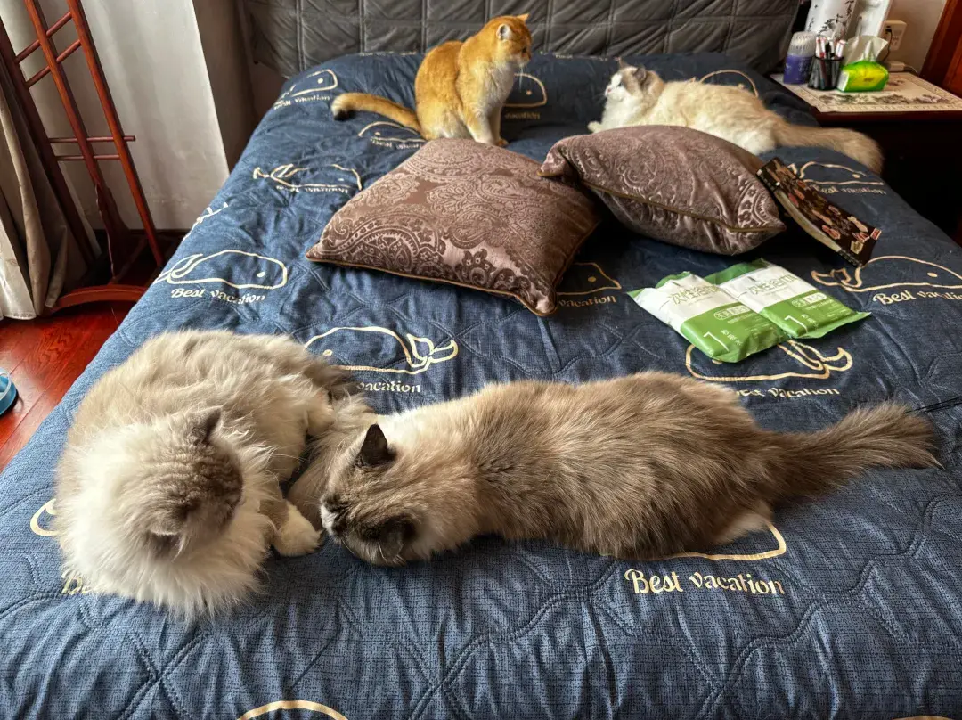 Guangzhou Cats Hotel - Cantão