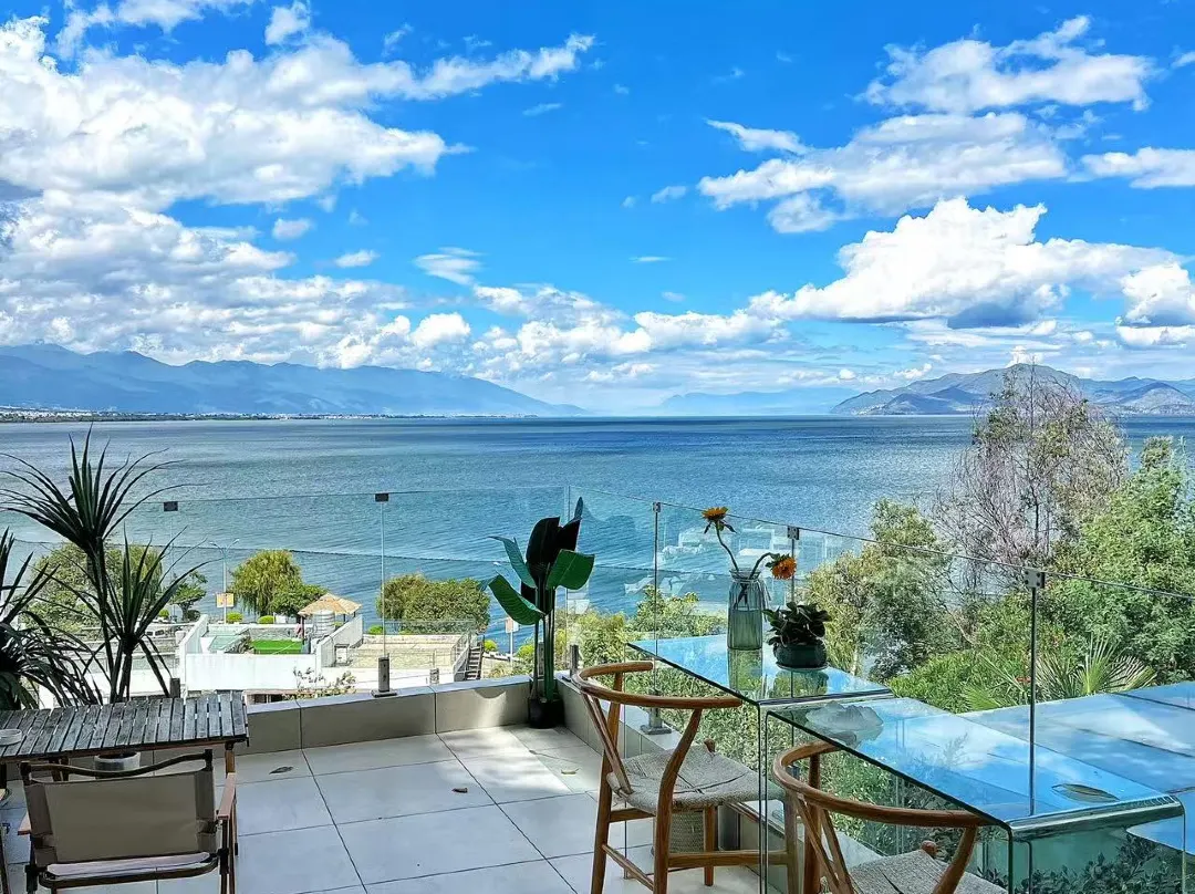 Dali You Want To Stay - Dali