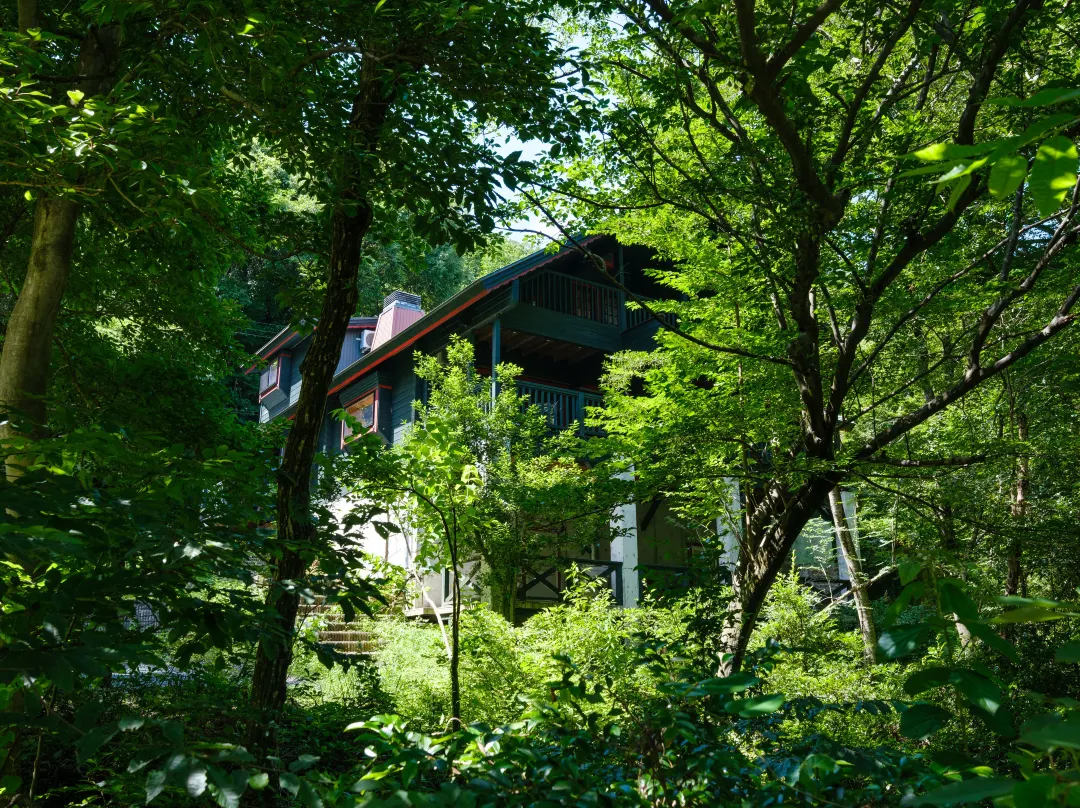 Yuki No Hana Sanso - Takashima