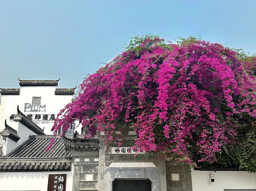 Meiyuan Pudi Hotel - 崇左市
