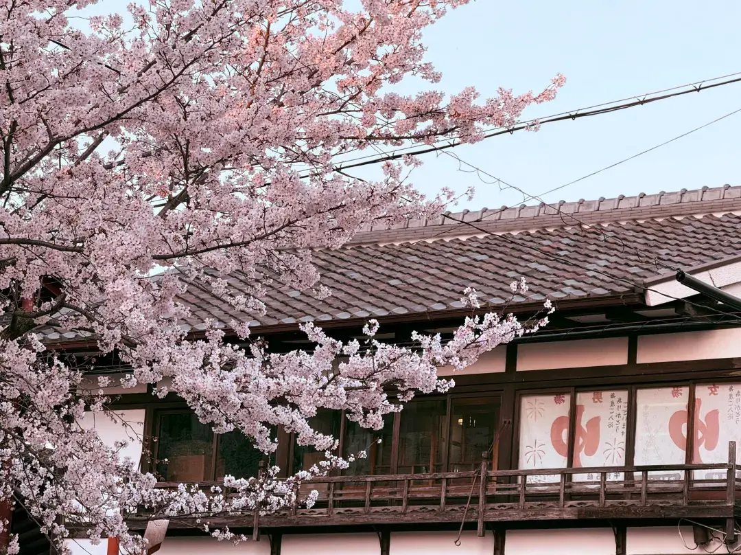 Kyoto Hatsune Hotel - Kyoto