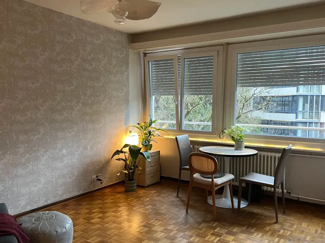 Charming Studio - Carouge