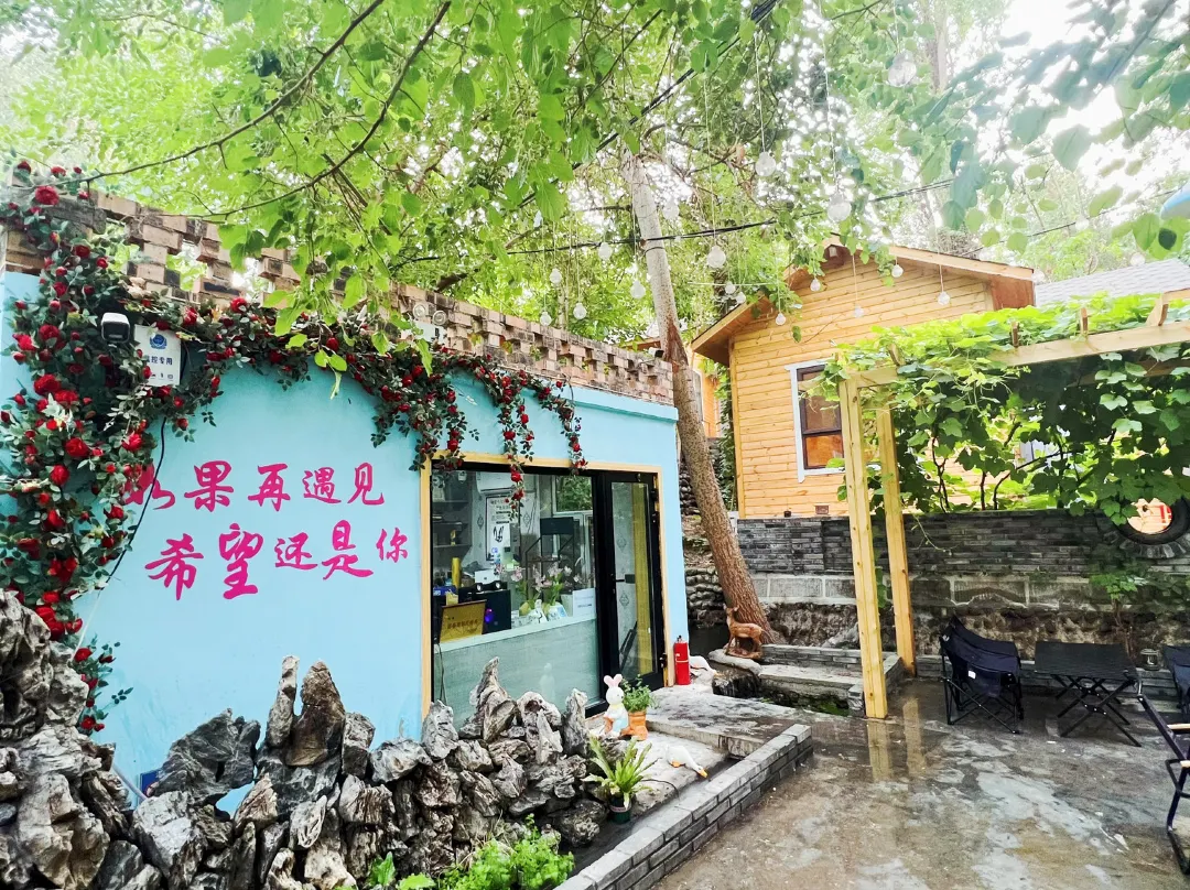 Encountering Homestays Again - Turpan