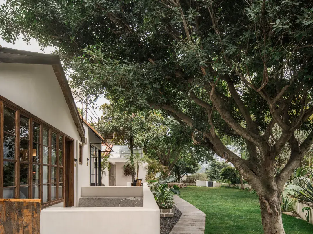 Tree-vow Homestay - Chengdu