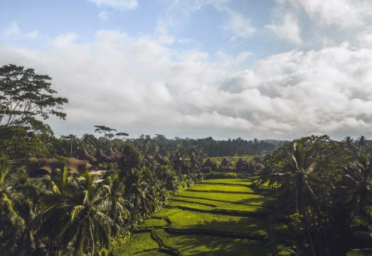 Equipoise Resort Ubud,{ CityName} - Harga & Promo Terbaru 2026 | Trip.com