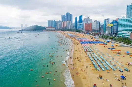 Mogastay - Busan