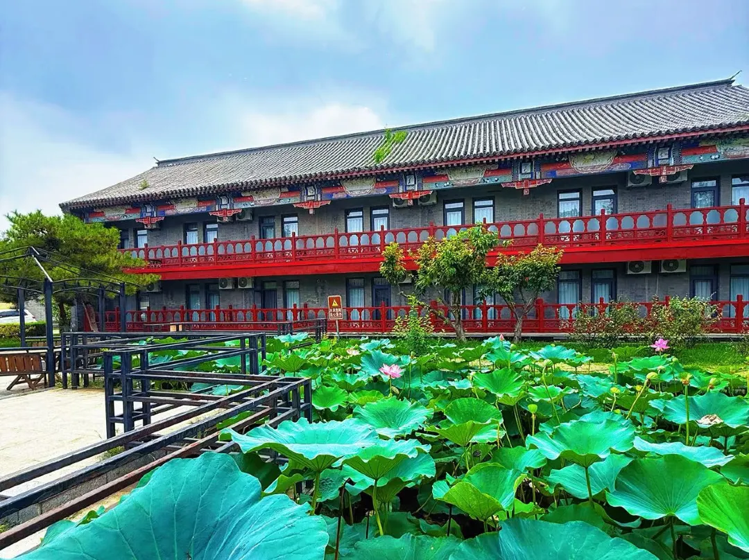 Longshun Business Hotel -