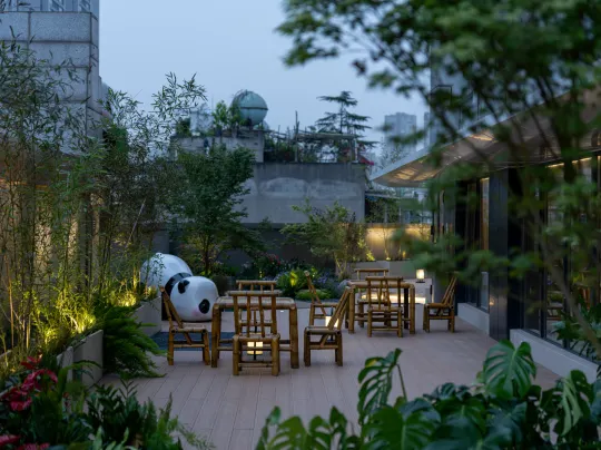 Cosy City Hotel (Chengdu South Railway Station Sichuan University Wangjiang Campus） - Chengdu