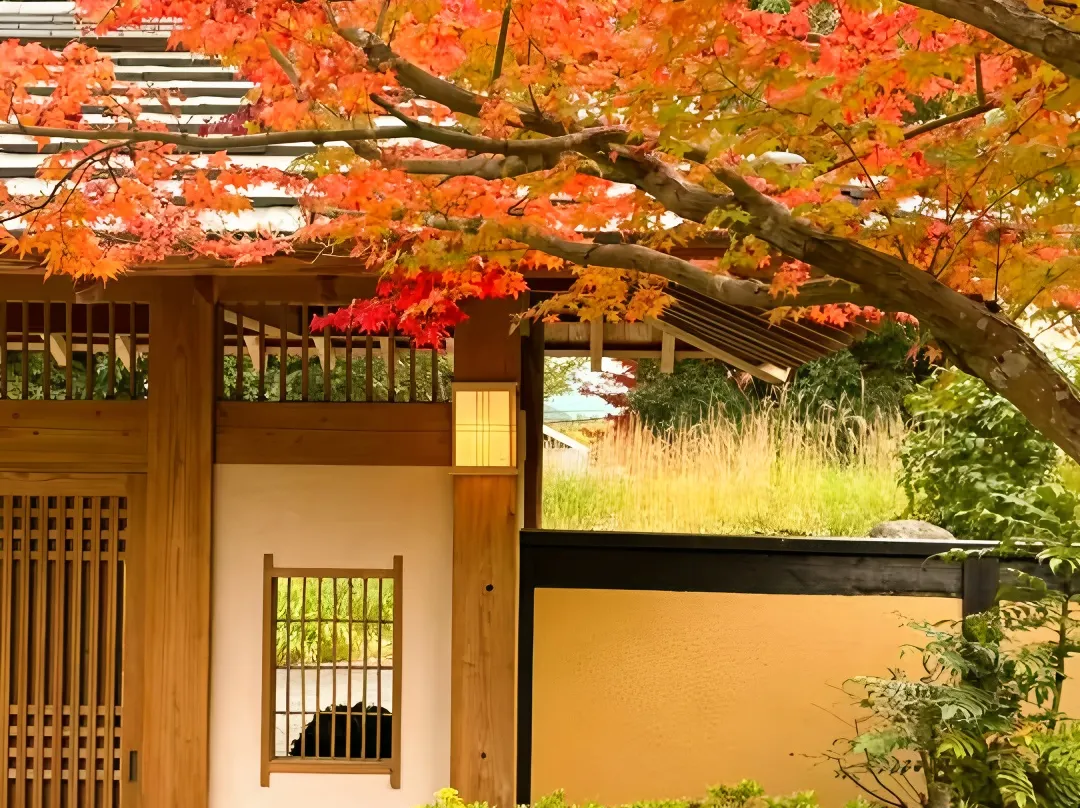 Koarashiyama Akizuki - Asakura