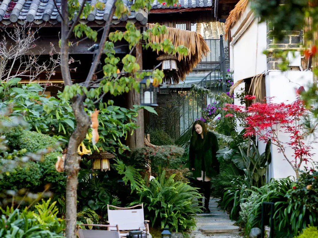 ‌The Secret Garden Of Cats & Wolf's Den | Barista Courtyard Cafe & Inn - Lijiang