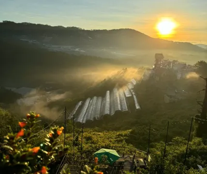 Dalat Harmony Garden - Dalat