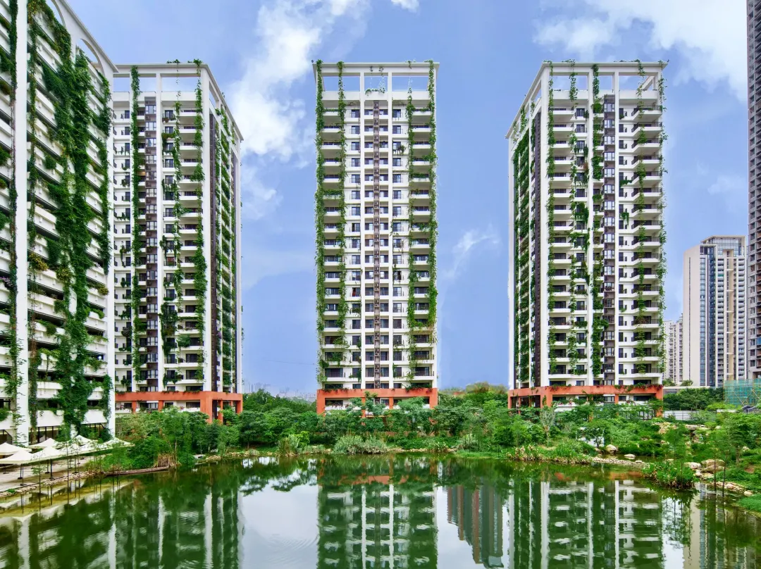 Wutong Hotel Apartment - Hong Kong