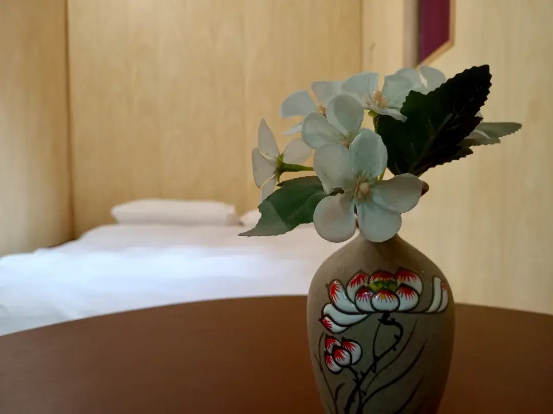 Artistic Nest Deyue Gun - 金城