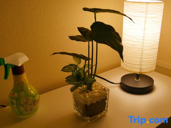 AnYi Home Stay in Tokyo | 2024 Updated prices, deals - Klook United States