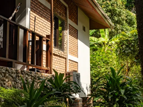 Deniz’s Zen Forest - Ko Pha Ngan