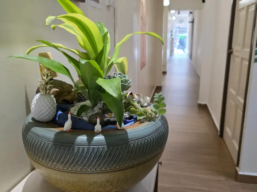 Jade Guesthouse Jonker Melaka - Malacca