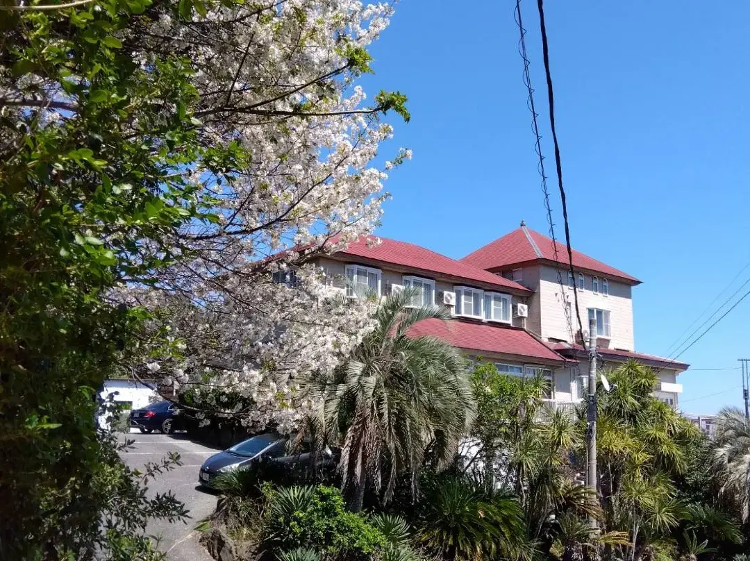 Hotel Cliffside - Shimoda