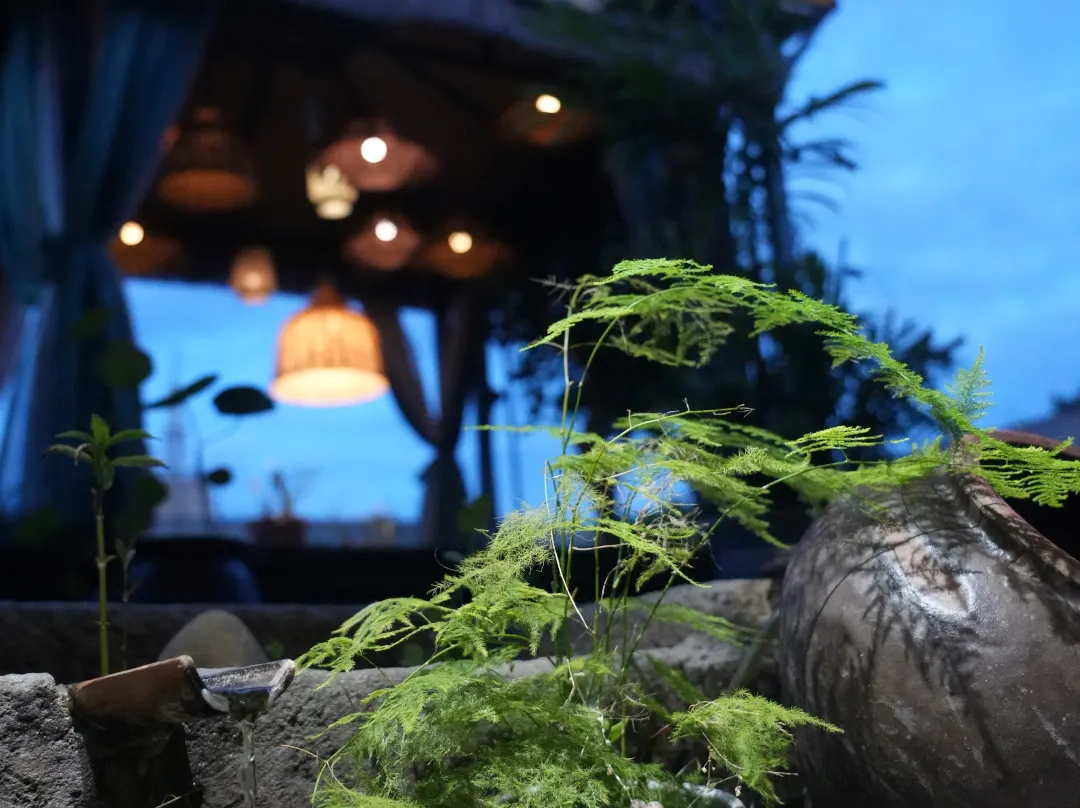 Four Rooftop Garden Youth Hostels - Chongqing