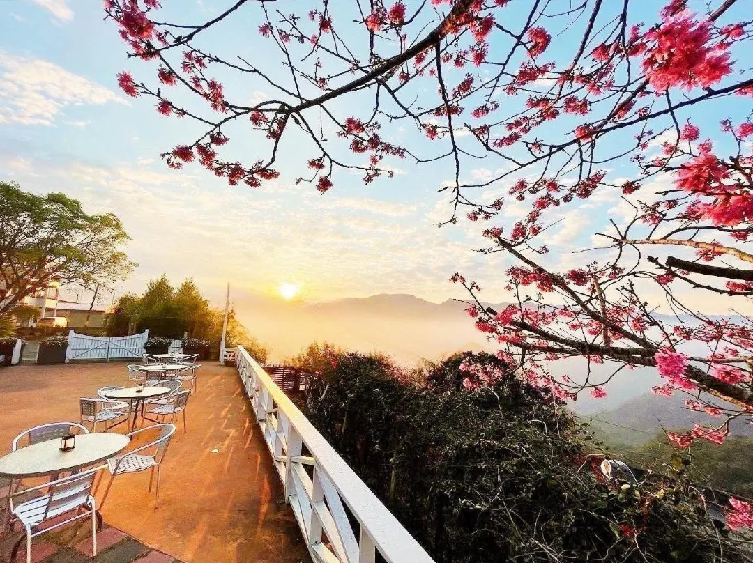 Alishan Home - Alishan Township
