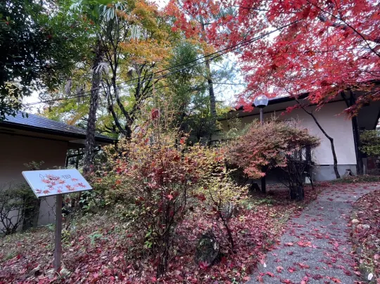 Kaederesortkinugawa Onsen - Nikko