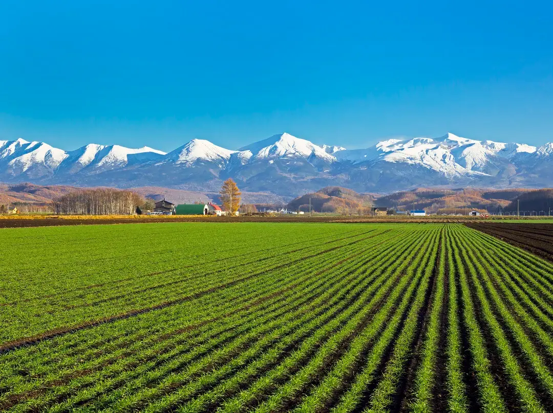 Guest House Itoh - Asahikawa