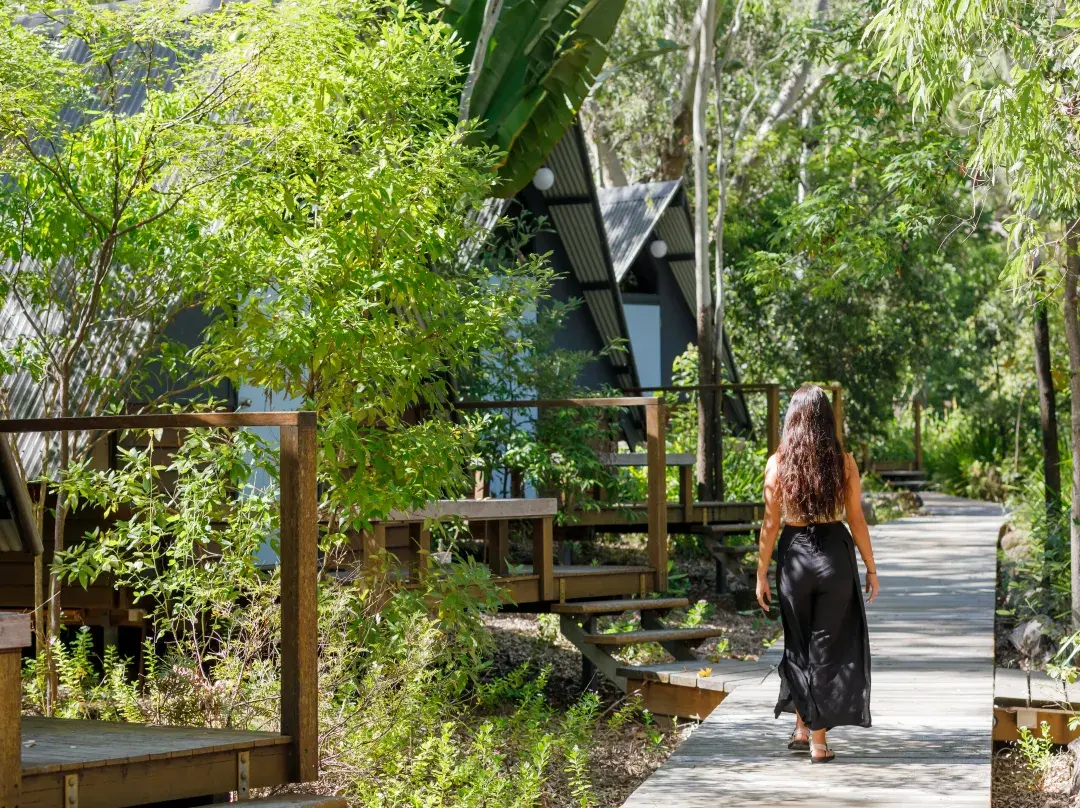 Bounce Magnetic Island And Koala Park - Townsville City