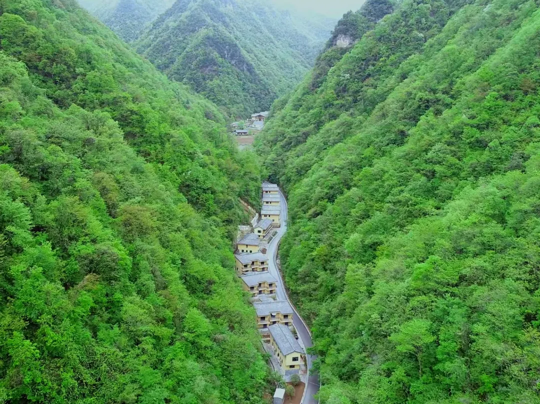 Shennong Yaowang Valley ・ Suwen Wellness Resort Hotel - Xiangyang