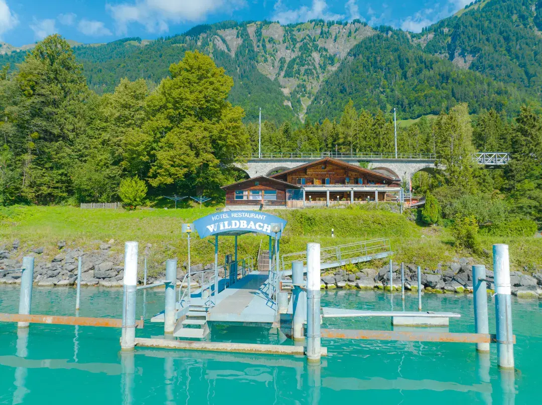 Hotel Wildbach Brienz - Brienz