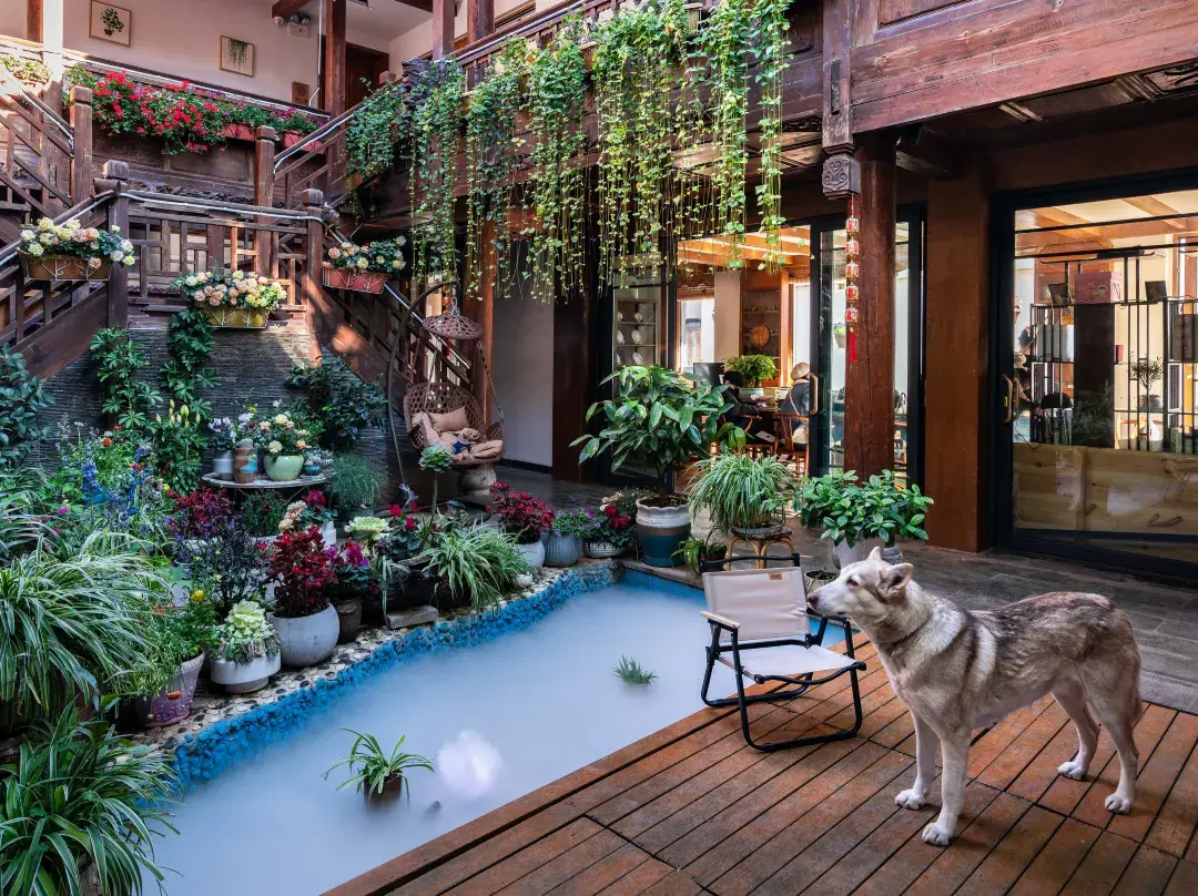 Quiet Time·humanities Institute - Lijiang