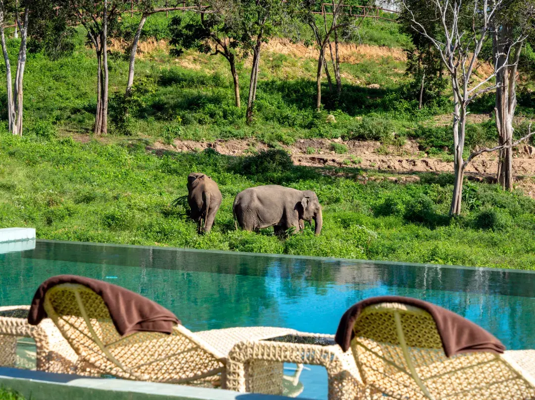 Wild Cottages Elephant Sanctuary Resort - Koh Samui