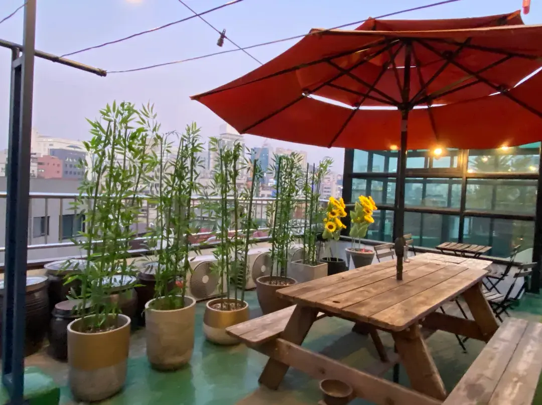 Red Panda House - Seoul