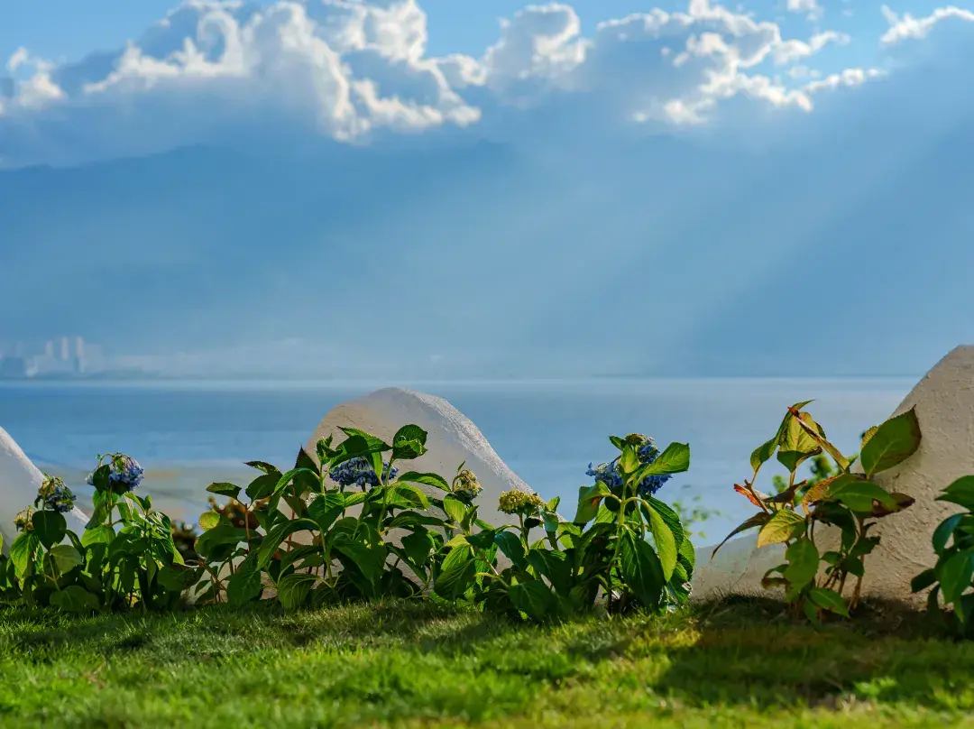 Dali Biyue Sea View Hotel - Dali