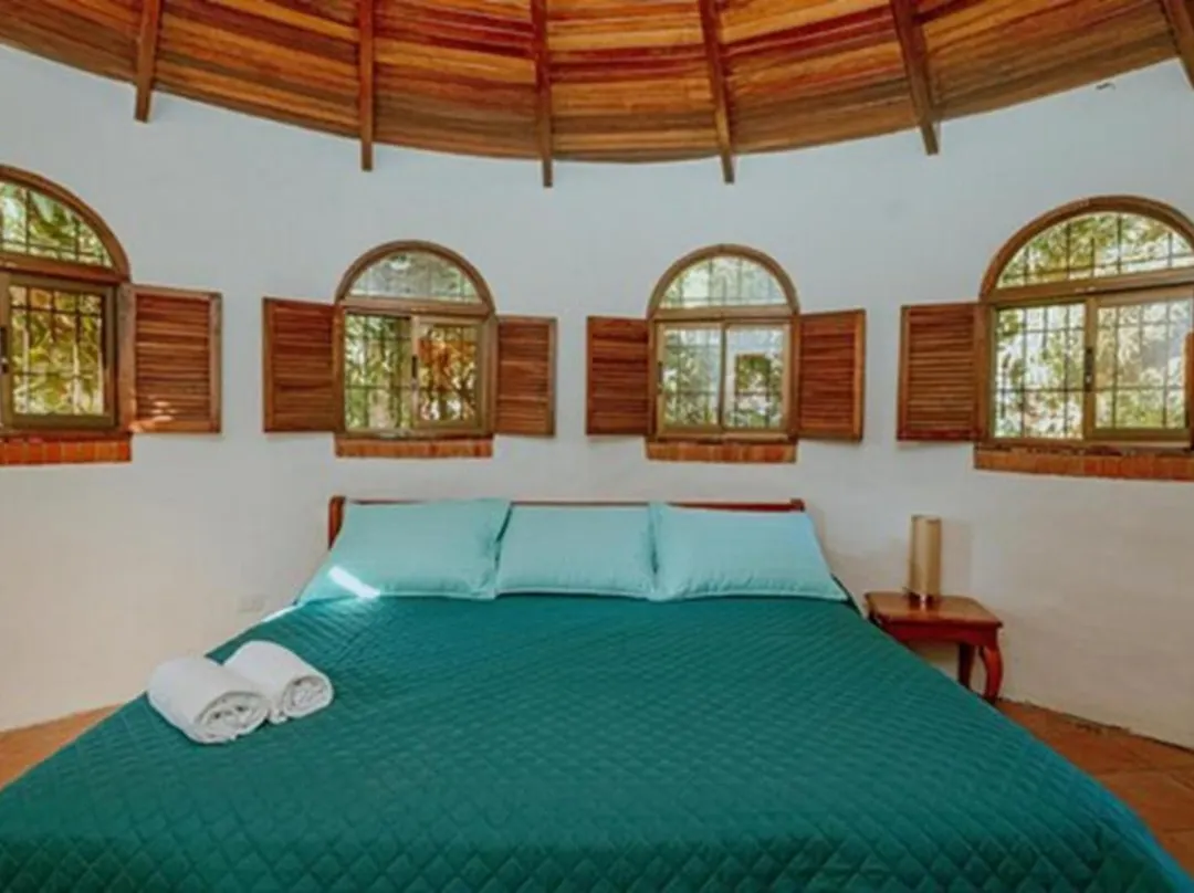 Planeta Sano Hotel - Quepos