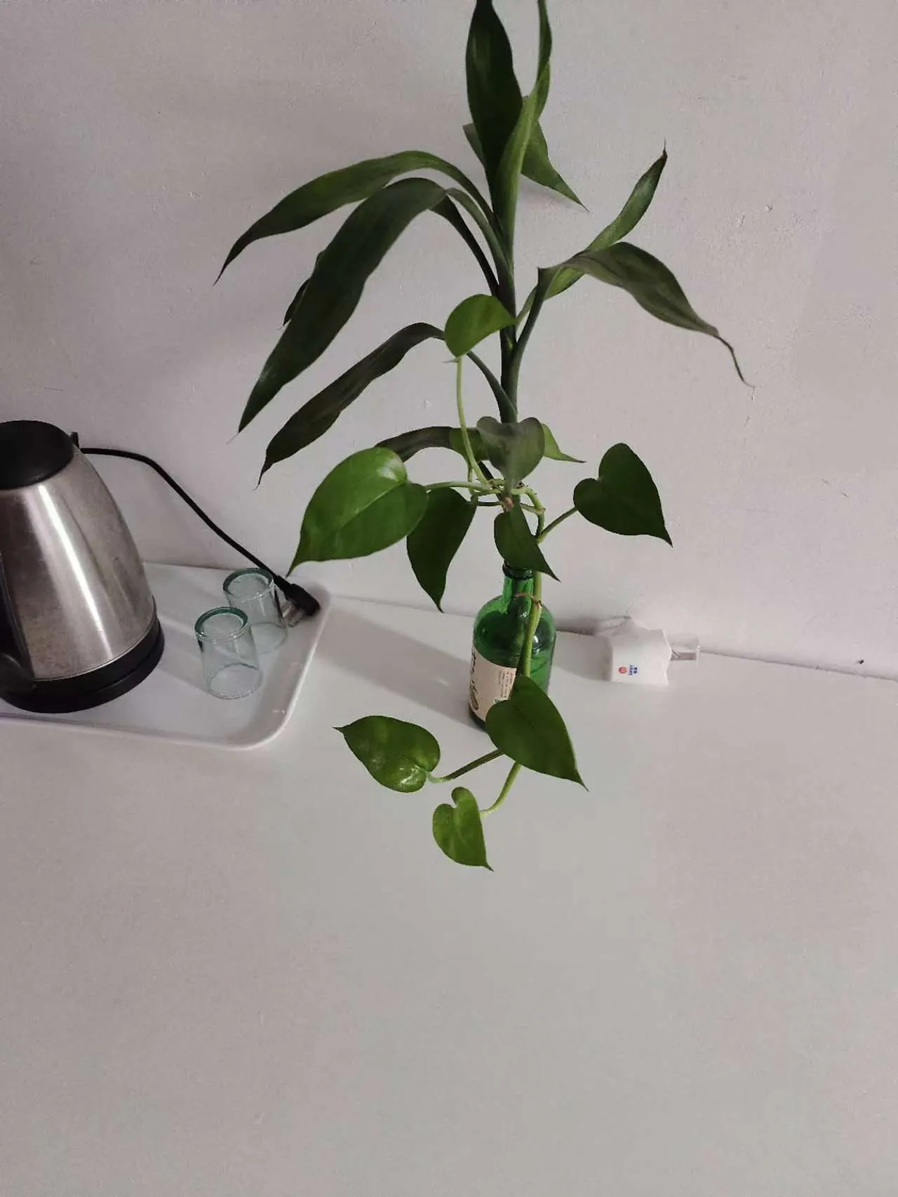 Luhu loft homestay - 68 Verified Photos & Reviews | Trip.com