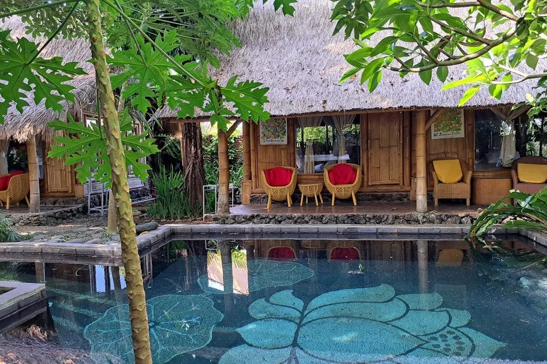 Omunity Bali - Bali