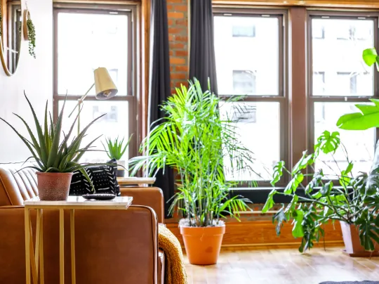 Top Rated - Prime Location - Clean - Parking Free - Ohio