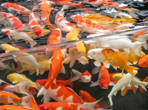 Romantic Season Blue Diamond Hotel (Shenyang Youth Avenue Subway Station - Shenyang