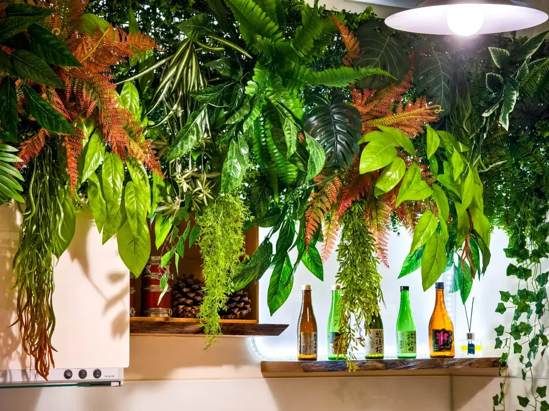 Xiaopin Bnb - 우제 향