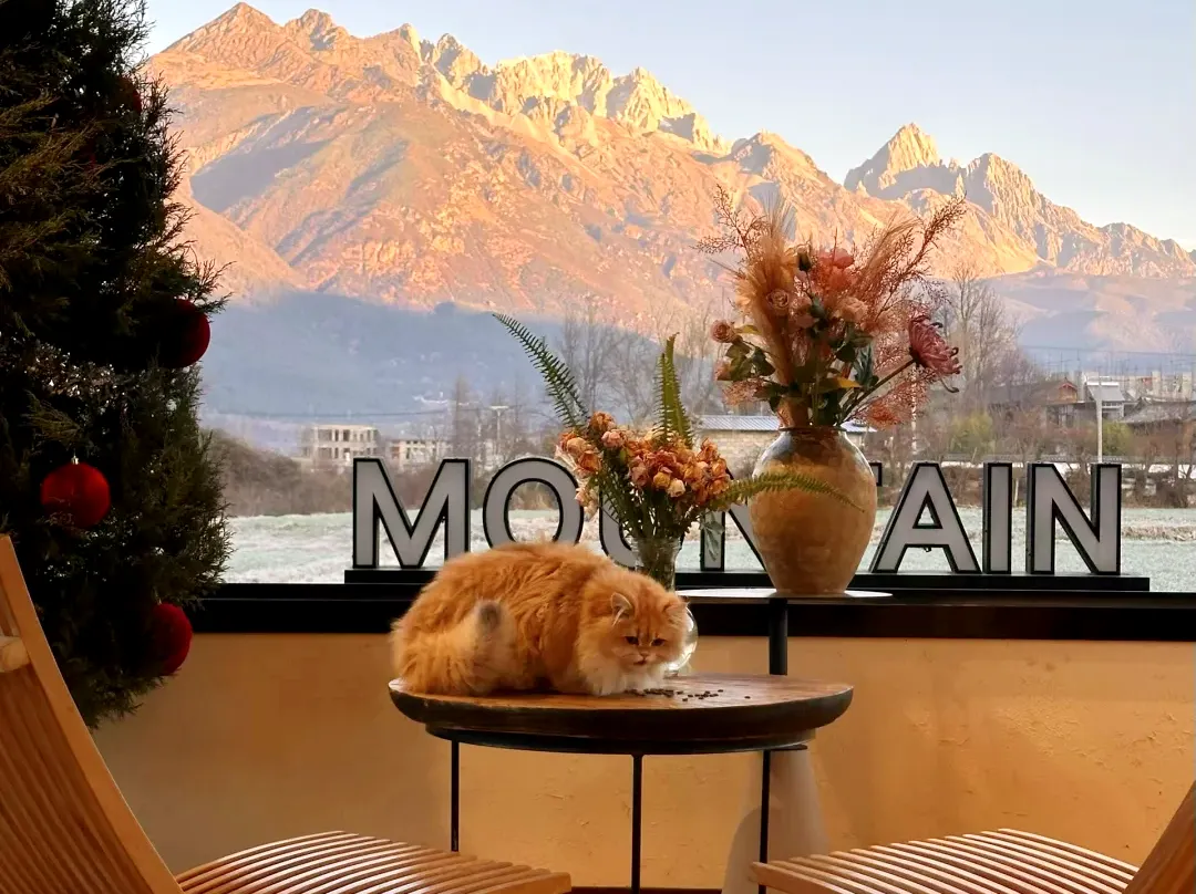 Snow Golden | Sunlight Golden Mountain View Resort And Vacation Home - Lijiang