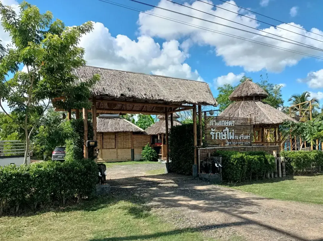 Bamboo Conservation Farm - Mueang Surin District