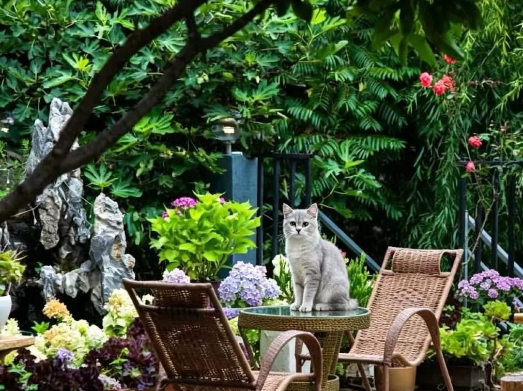 Fangxinju · Youfeng Four Seasons | Aroma Garden Scenic Vacation Boutique Stay - Lijiang