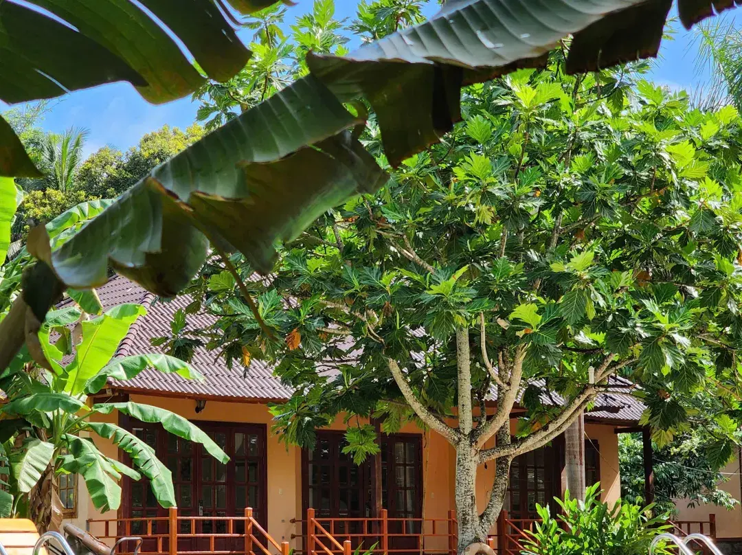 Sunrise Resort Phu Quoc - Phú Quốc