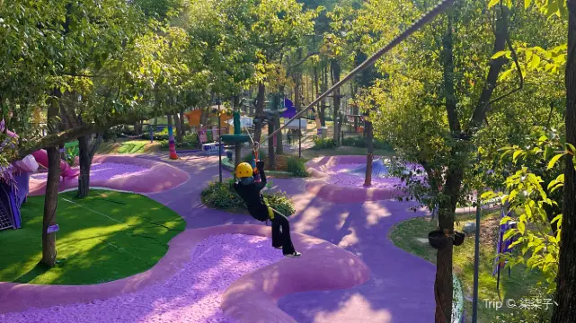 East Lake Forest · Flying Over the Jungle Adventure Park Tickets [2026 ...