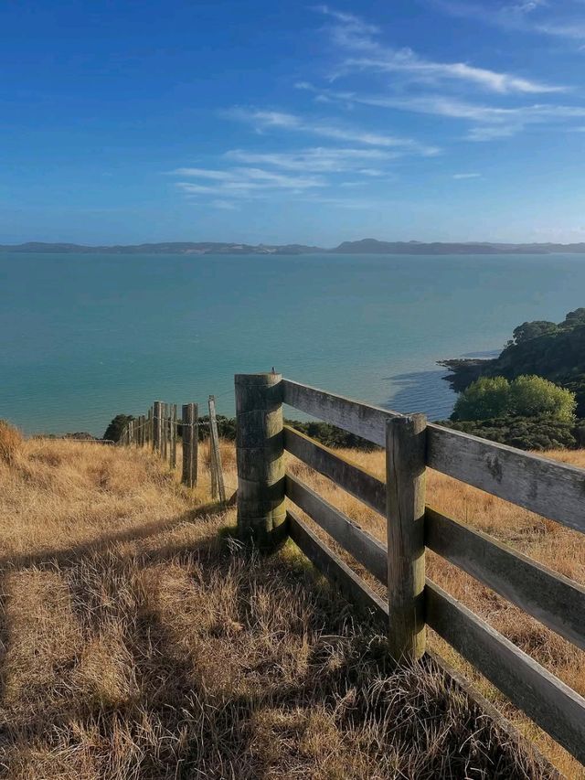 A Gentle Coastal Walk on the Duder Farm Loop Track | Trip.com New Zealand