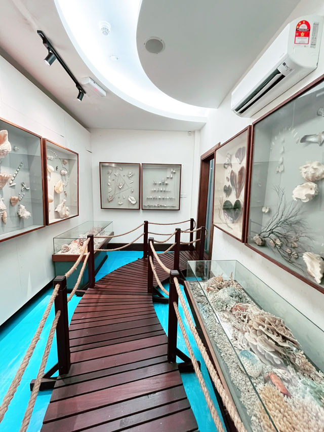 Coral & Shell Treasures: Marine Gallery at Natural History Museum ...